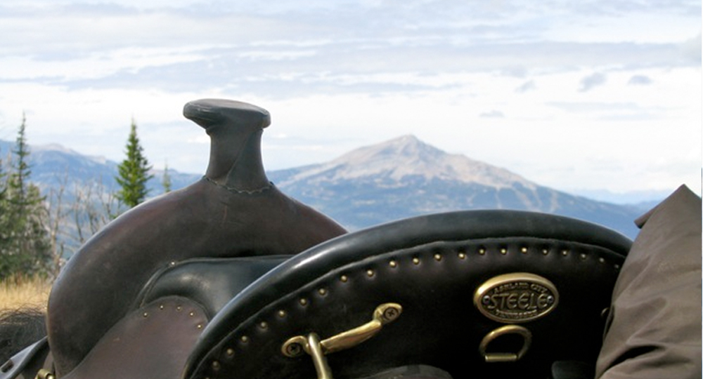 Trail Saddles by Steele