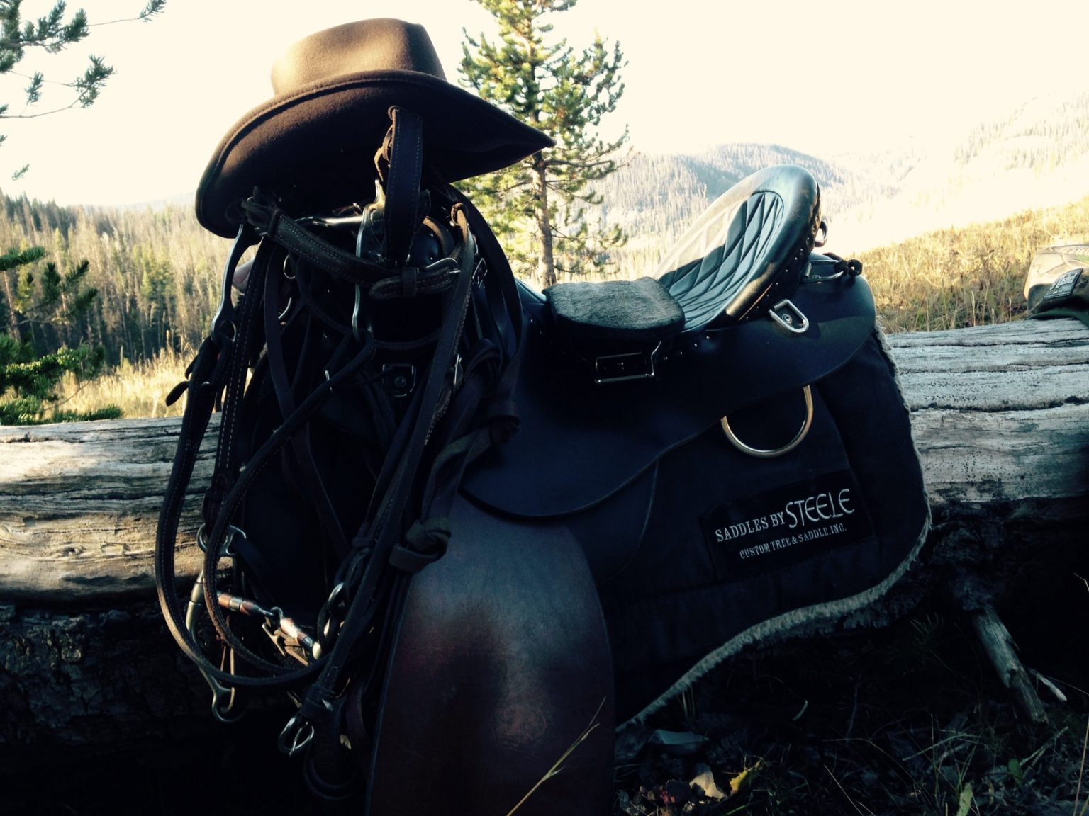 Steele Saddle has changed my riding life forever. I Highly Recommend ...